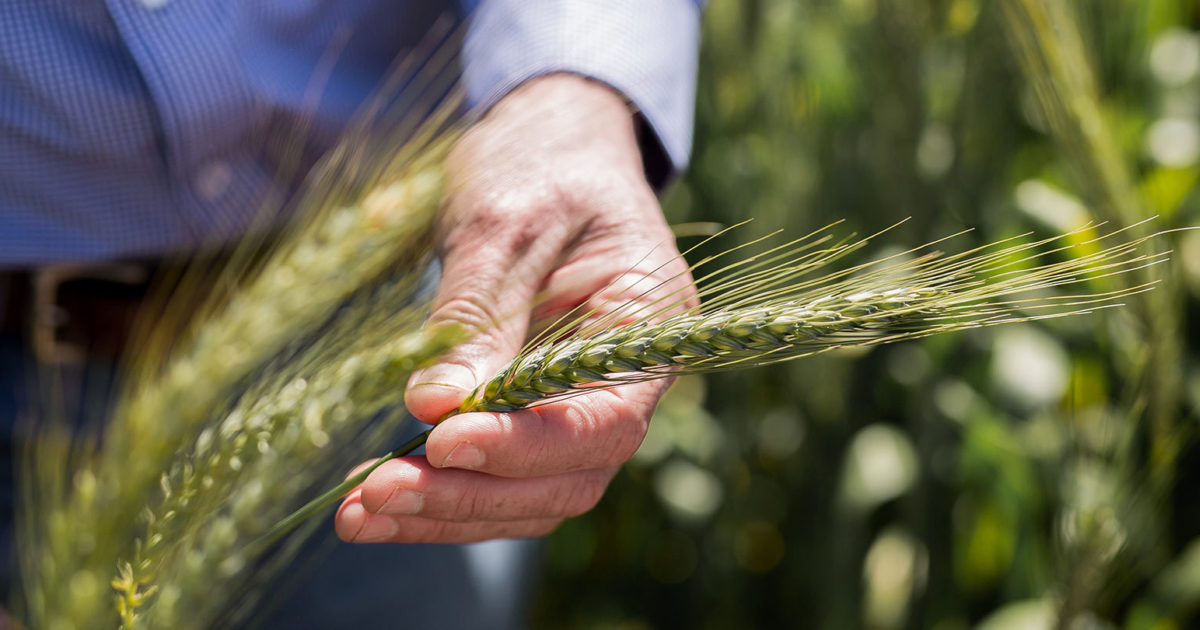 EPR Rates | Australian Grain Technologies