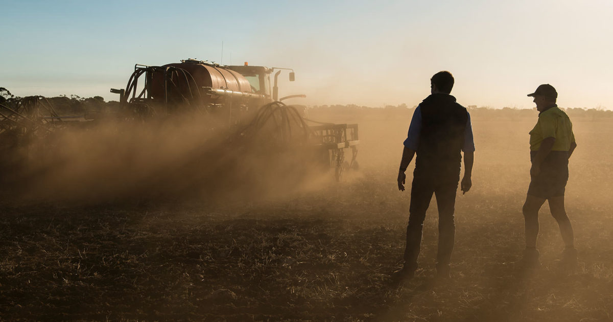 Variety Support | Australian Grain Technologies