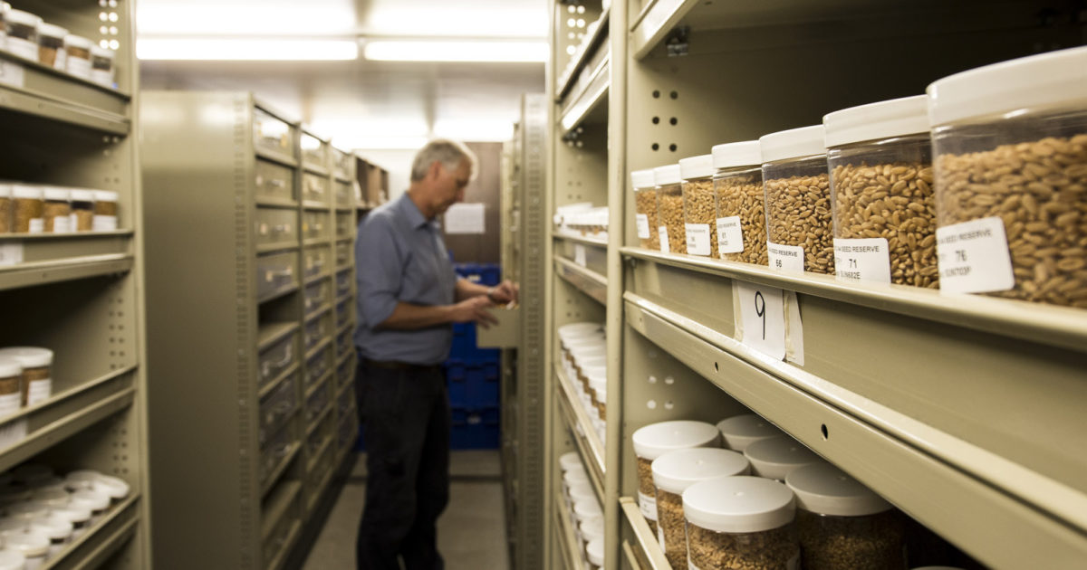 History | Australian Grain Technologies