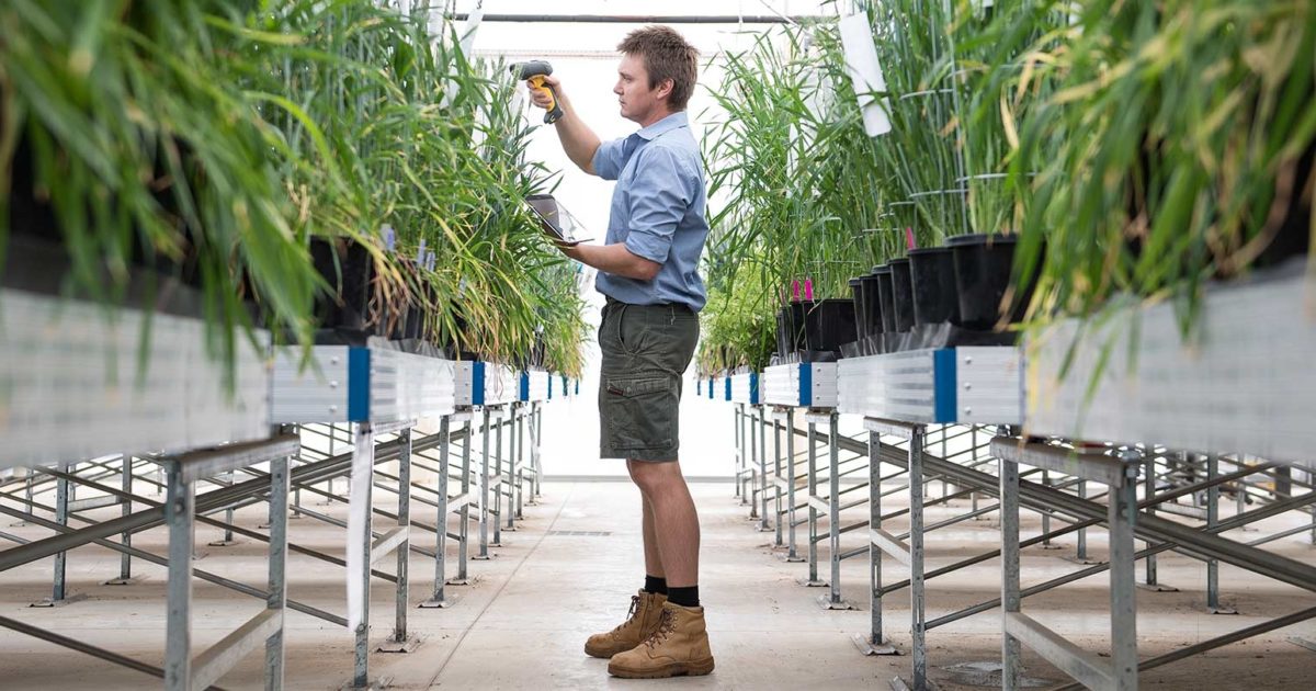 About Us | Australian Grain Technologies