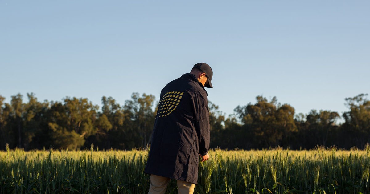 Educational Resources | Australian Grain Technologies