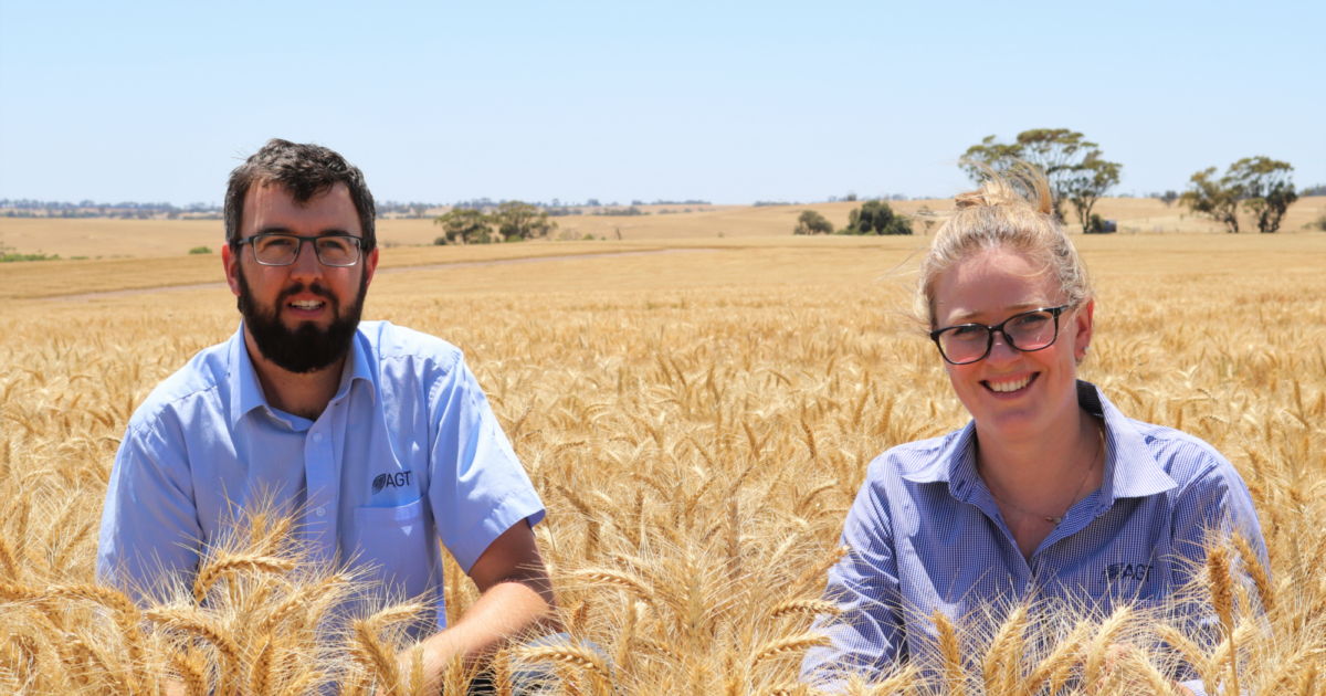 Catapult claims AH quality… | Australian Grain Technologies