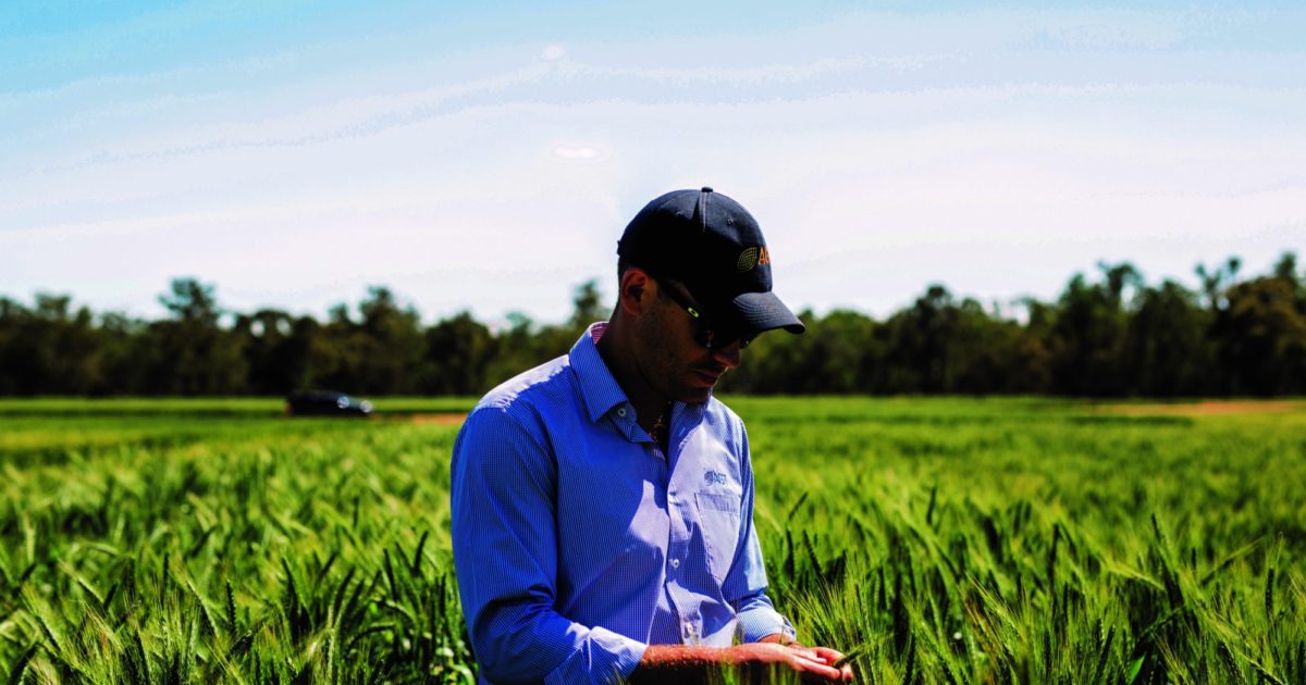 Coolah delivering great results for… | Australian Grain Technologies