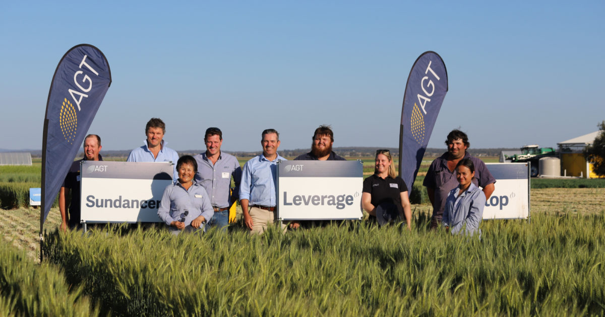 Significant yield improvements… | Australian Grain Technologies