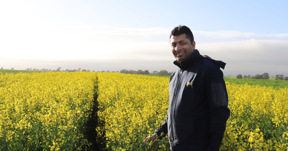 AGT offers more choice to growers… | Australian Grain Technologies