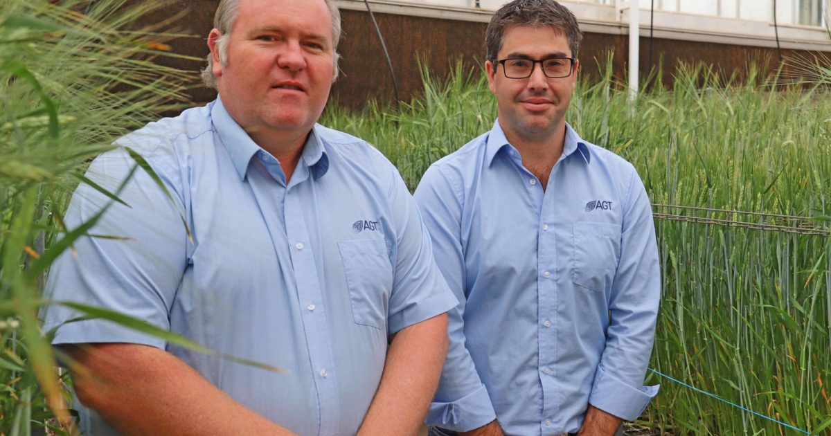 Malting Barley Accreditation for… | Australian Grain Technologies